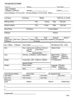 Fillable Online Co Travis Tx INTAKE SET UP FORM The Official Web Site