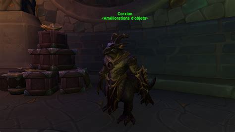 Corxian et amélioration d objets où le trouver à WoW Dragonflight