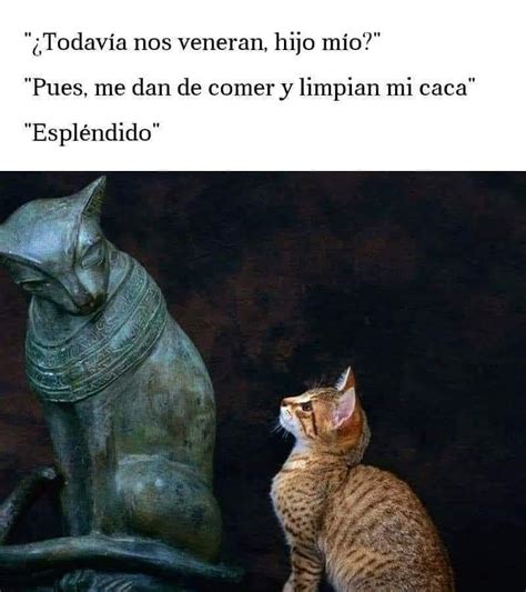 Cuando extrañas a tu ex pero no sabes a cuál Memes