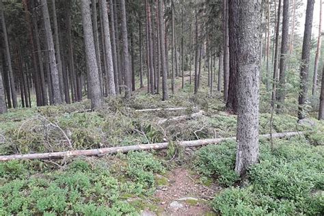 Na kole Úsek Velký Kámen Vlč Bahna Brdy Cloud