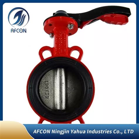 Resilient Seated Concentric Type Ductile Cast Iron Wafer Lug Flange