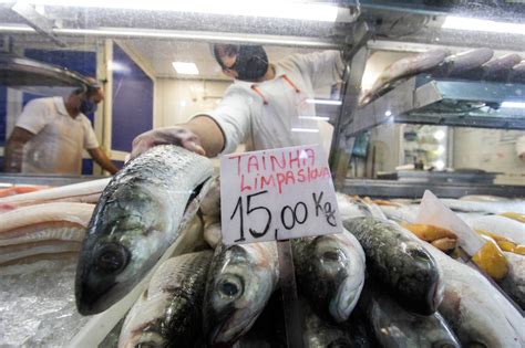 Santa Catarina pede revisão de cota de pesca da tainha para 2023
