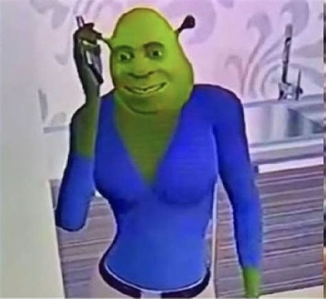 Pin By Inosuke On Funny Shrek Memes Shrek Stupid Funny Memes