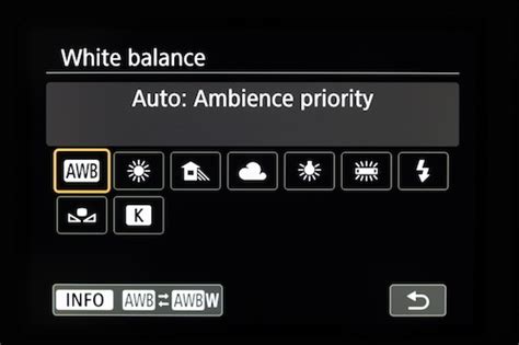 What Is The Kelvin Setting For In White Balance Photography Terms