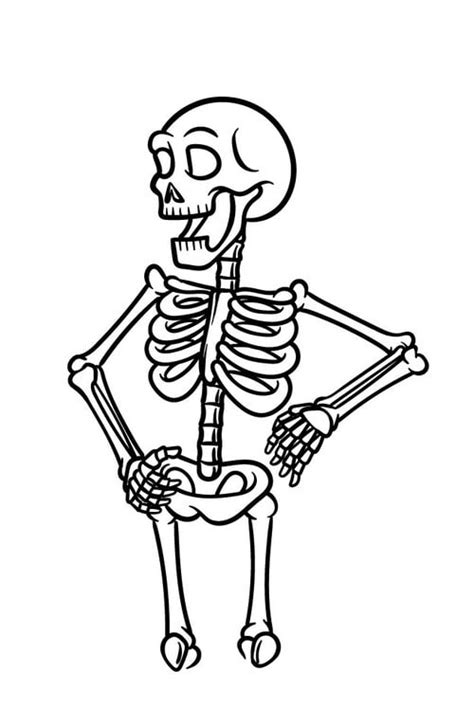 How To Draw A Skeleton Cartoon A Step By Step Guide