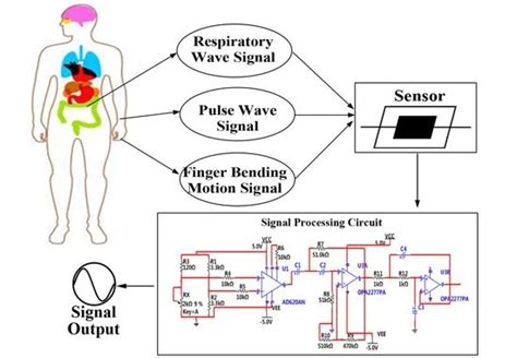 sensors free full text detection of physiological signals based on graphene using a simple