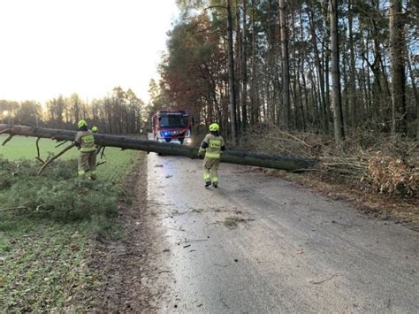 Silny wiatr może pojawić się w Grudziądzu i regionie Grudziądz Nasze