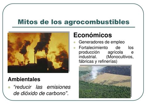 PPT Los agrocombustibles y sus impactos en la soberanía alimentaria