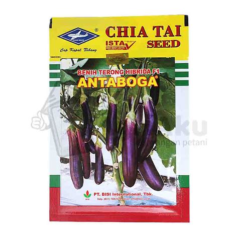 Jual Benih Terong Hibrida F1 Antaboga 10gr Shopee Indonesia