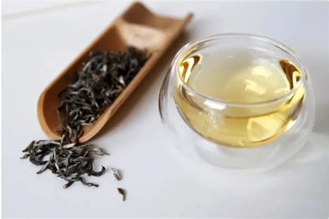 Công dụng của Chè Shan tuyết Nhiều lợi ích về sức khỏe và làm đẹp