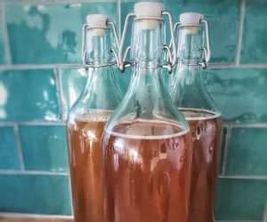 Qué es la kombucha y cuáles son sus beneficios TuInfoSalud