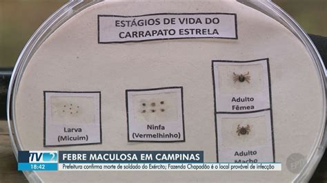 Campinas Confirma Febre Maculosa Como Causa Da Morte De Soldado De 18