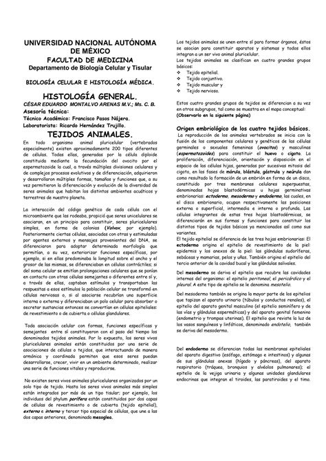 Solution Tejido Epitelial Studypool