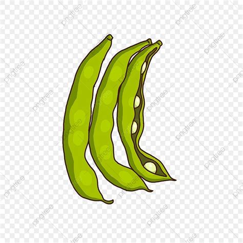 Frijoles Dibujo