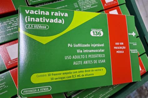 Paraná recebe novas doses da vacina antirrábica humana e alerta para