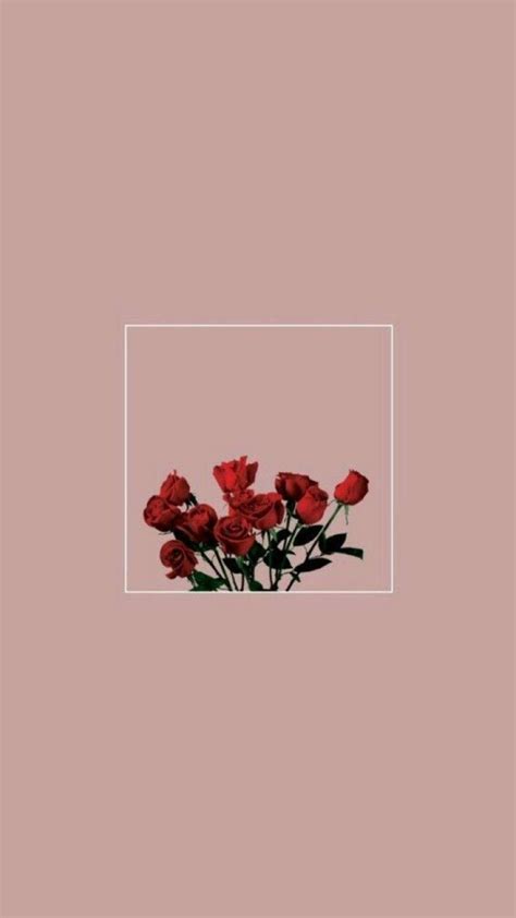 Cute Aesthetic Flower Wallpapers Top Free Cute Aesthetic Flower
