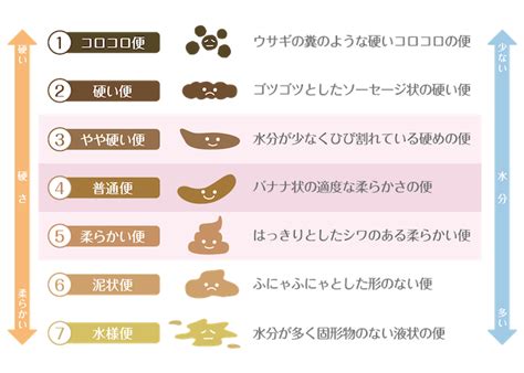 快便ってなに快便にまつわるよくある誤解とおすすめの快便習慣を紹介 おなかスッキリ研究所 パールエース Online Shop