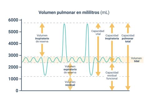 Valores Normais De Espirometria BRAINCP