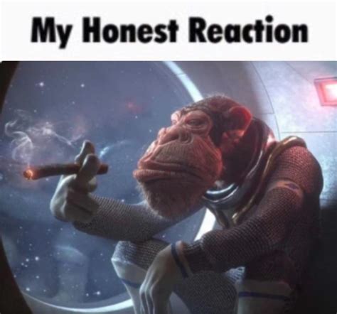 My Honest Reaction Monke Blank Template Imgflip