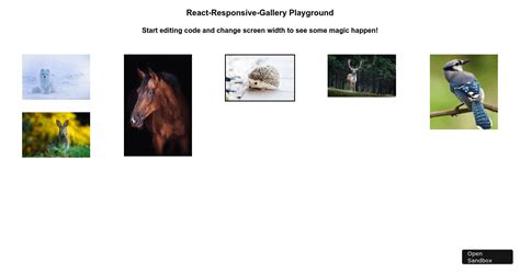 React Responsive Gallery Playground Forked Codesandbox