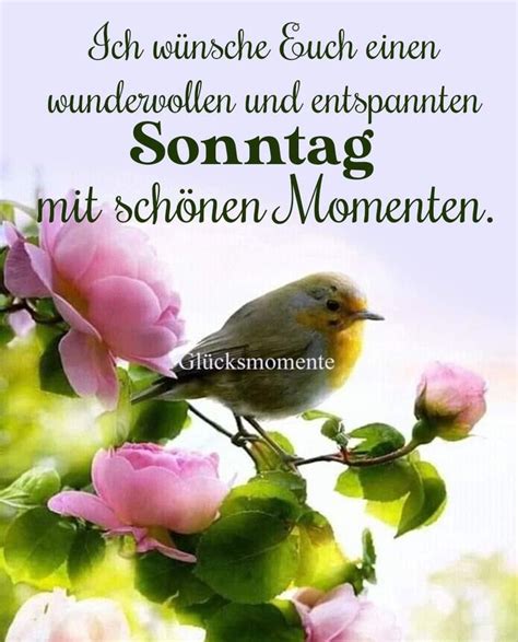 Pin von Eli Moos auf Tagesgruß Schönen sonntag sprüche Guten morgen