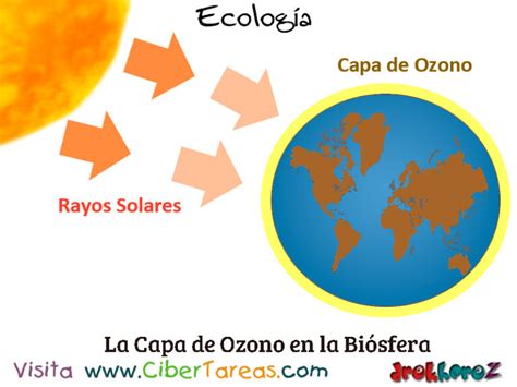 La Capa de Ozono en la Biósfera Ecología CiberTareas