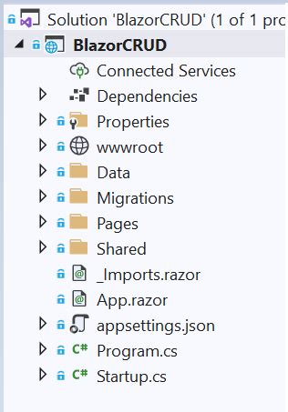 Blazor Server App CRUD With Entity Framework Core In Net 5