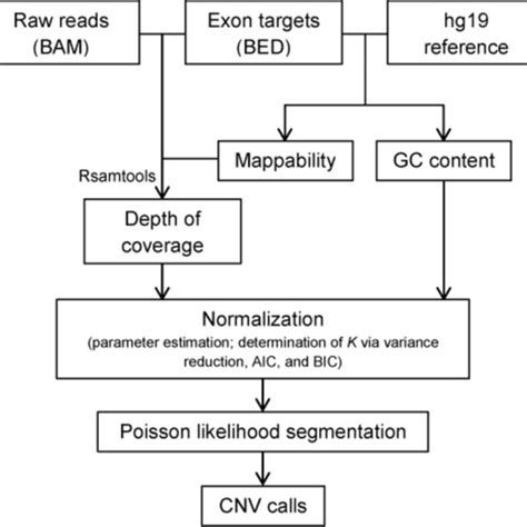 pdf codex a normalization and copy number variation detection method for whole exome sequencing