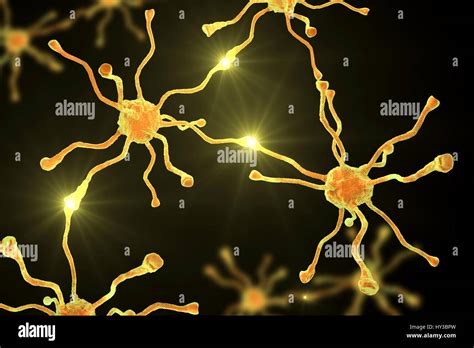 Neurons Brain Cells Hi Res Stock Photography And Images Alamy