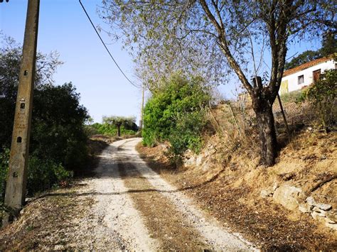 Quintas e casas rústicas Quintinha T3 à venda na Rua da Narcisa