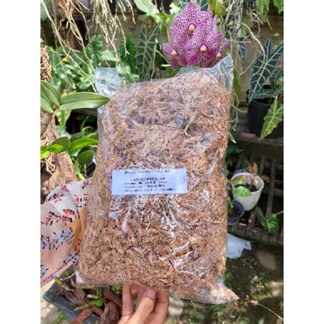 Jual Media Anggrek Spagnum Mos Atau MOS PUTIH Shopee Indonesia