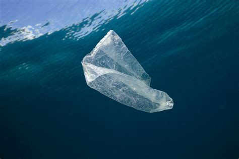 Visão Químicos do plástico diluem se nos Oceanos e afetam a vida marinha
