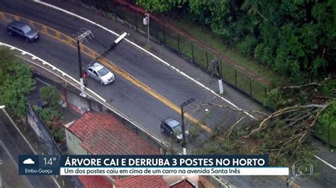 Árvore de grande porte do Horto Florestal cai e derruba três postes na