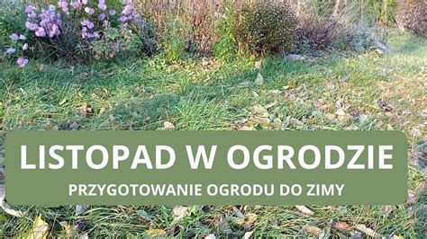 Listopad W Ogrodzie Przygotowanie Ogrodu Do Zimy YouTube