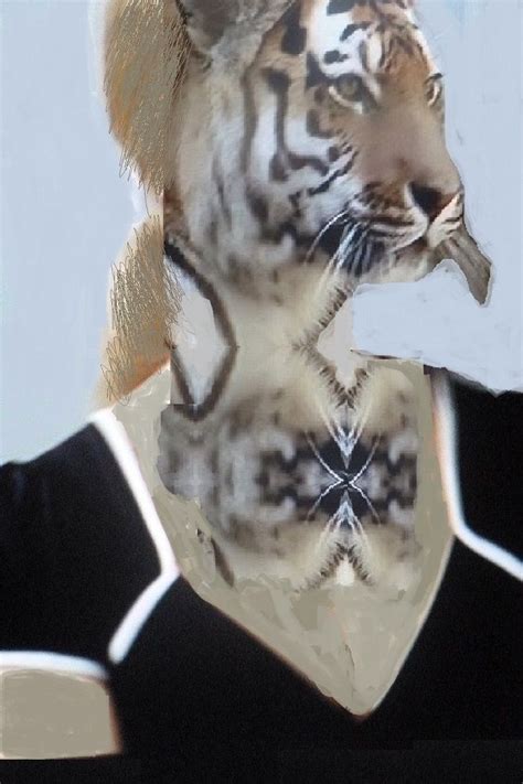 She Is A Tigress XXII Tiger Kleidung Portrait Frau Von COLOMBIA