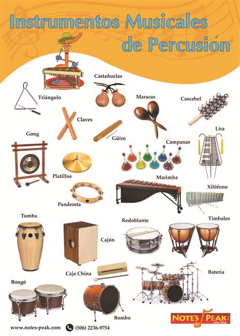 Láminas de familias de instrumentos musicales cuerda viento