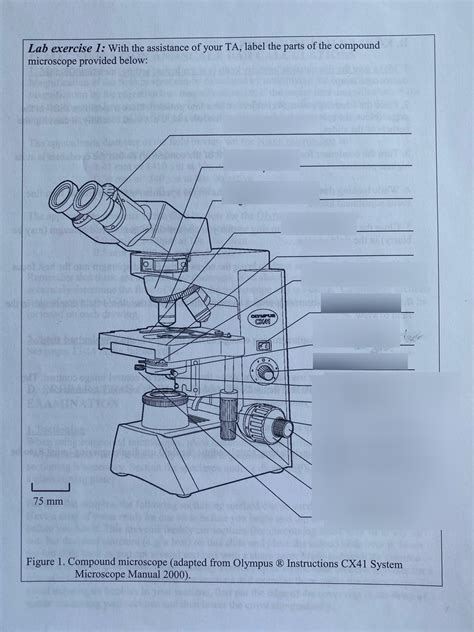 BIOL 324 LAB 1 Microscope Diagram Quizlet