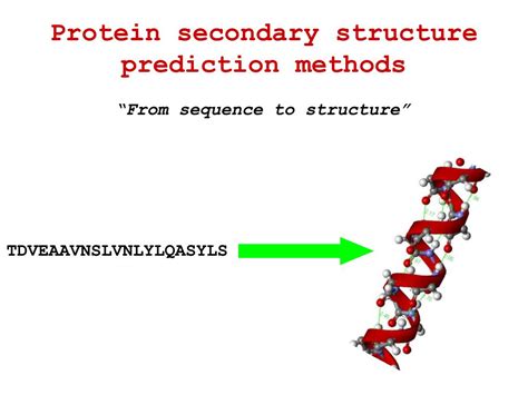 PPT Protein Secondary Structure Prediction Methods PowerPoint
