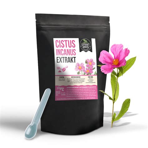 CISTUS INCANUS Zistrose Kapseln Pulver Kaufen Extrakt Manufaktur
