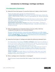 Bio Introduction To Histology Cartilage And Bones Prelab Docx
