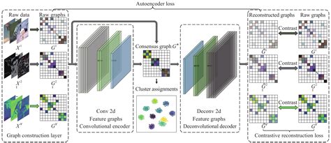 contrastive consensus graph learning for multi view clustering