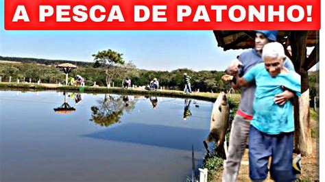 A PESCA DE PATONHO E DO CHAGUINHA Chicomuseu YouTube