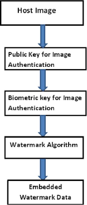 figure 3 from implementation of image authentication using watermarking with biometric