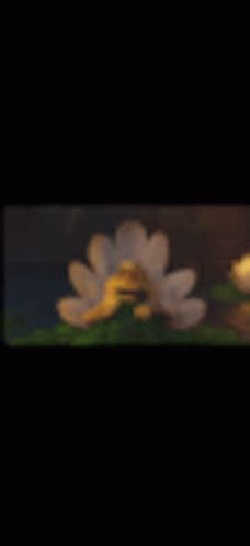 Shrek Meme Shrek Meme Discover Share GIFs