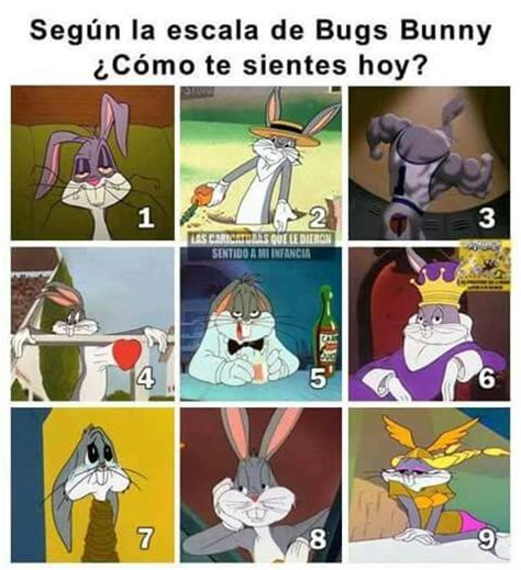 Como Te Sientes Meme Amino