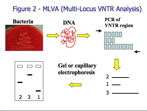 genetic testing food safety news