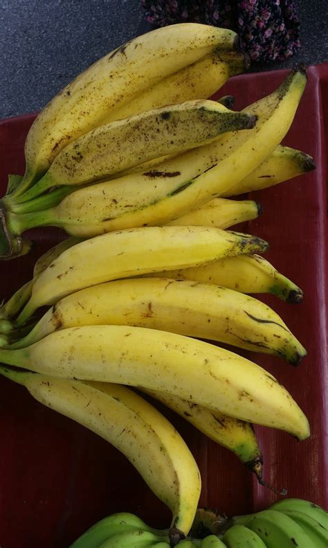 Warisan Petani Tanam Pokok Pisang Tanduk Tepi Rumah