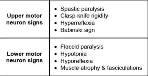 Neuro Shelf High Yield Flashcards Quizlet