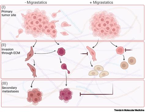 Educate Not Kill Treating Cancer Without Triggering Its Defenses