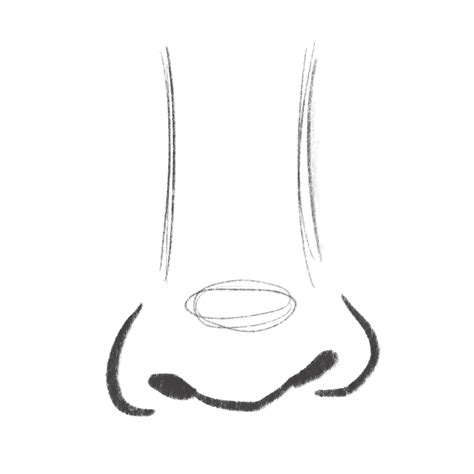 20 Tutorials For Beginners How To Draw People Bardot Brush